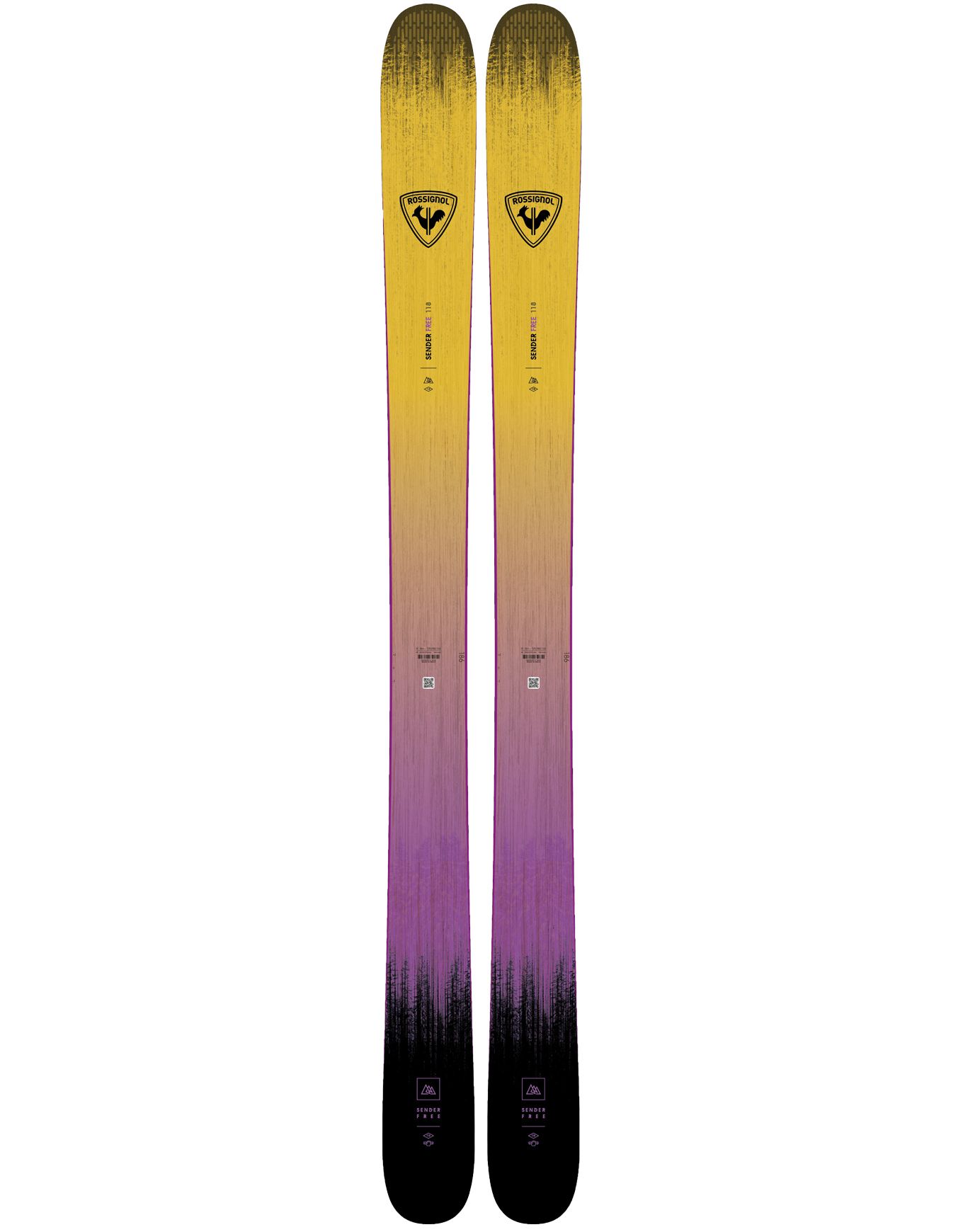 Rossignol Sender Free 118 2026 Men's skis : Snowleader