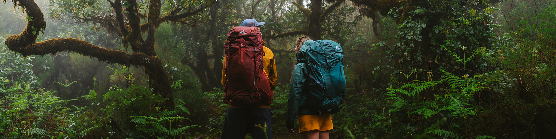 Gregory: Outdoor Backpacks on Snowleader - Snowleader