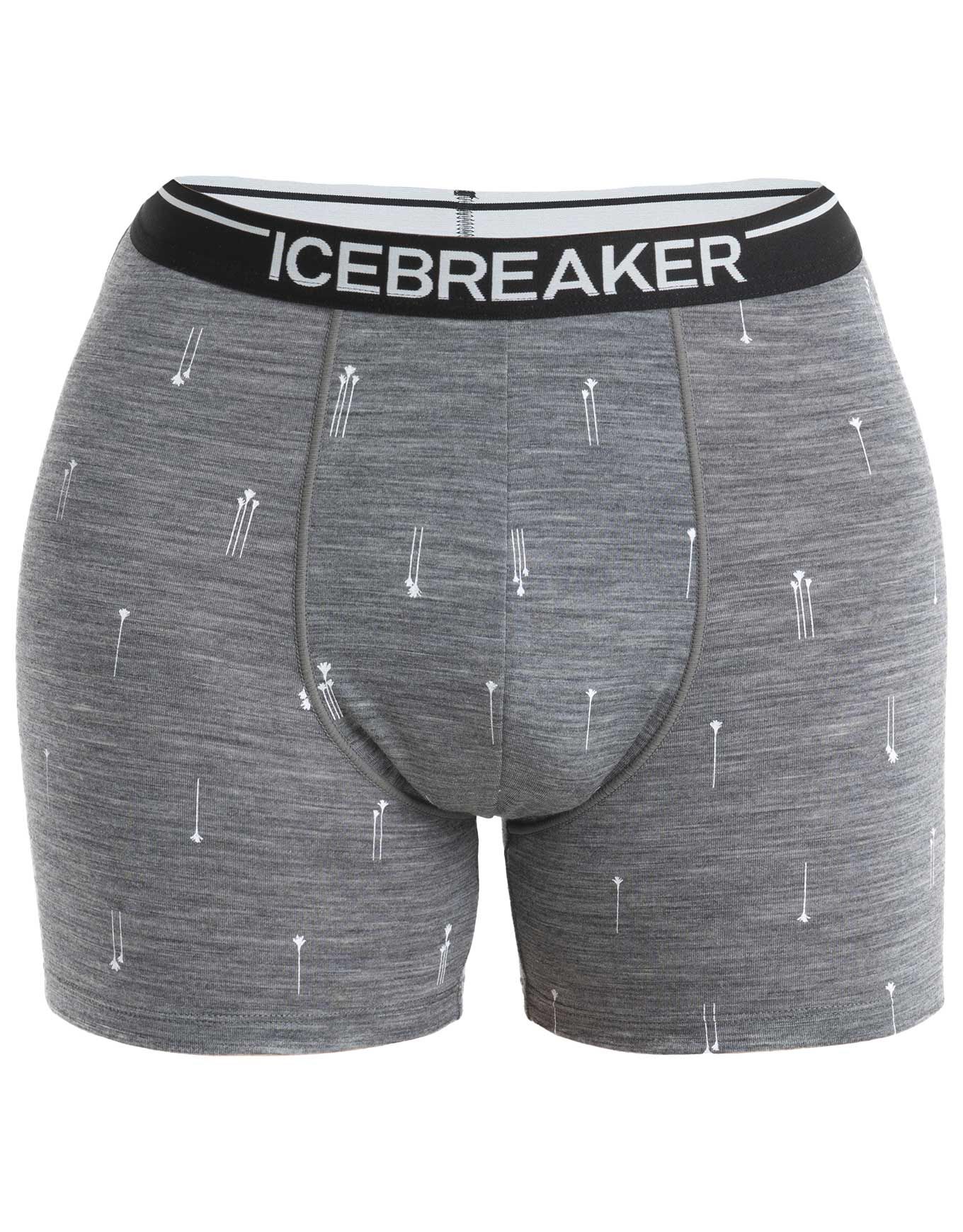 Icebreaker Men Merino Anatomica Boxers Palm Trail AOP Gritstone Hthr ...