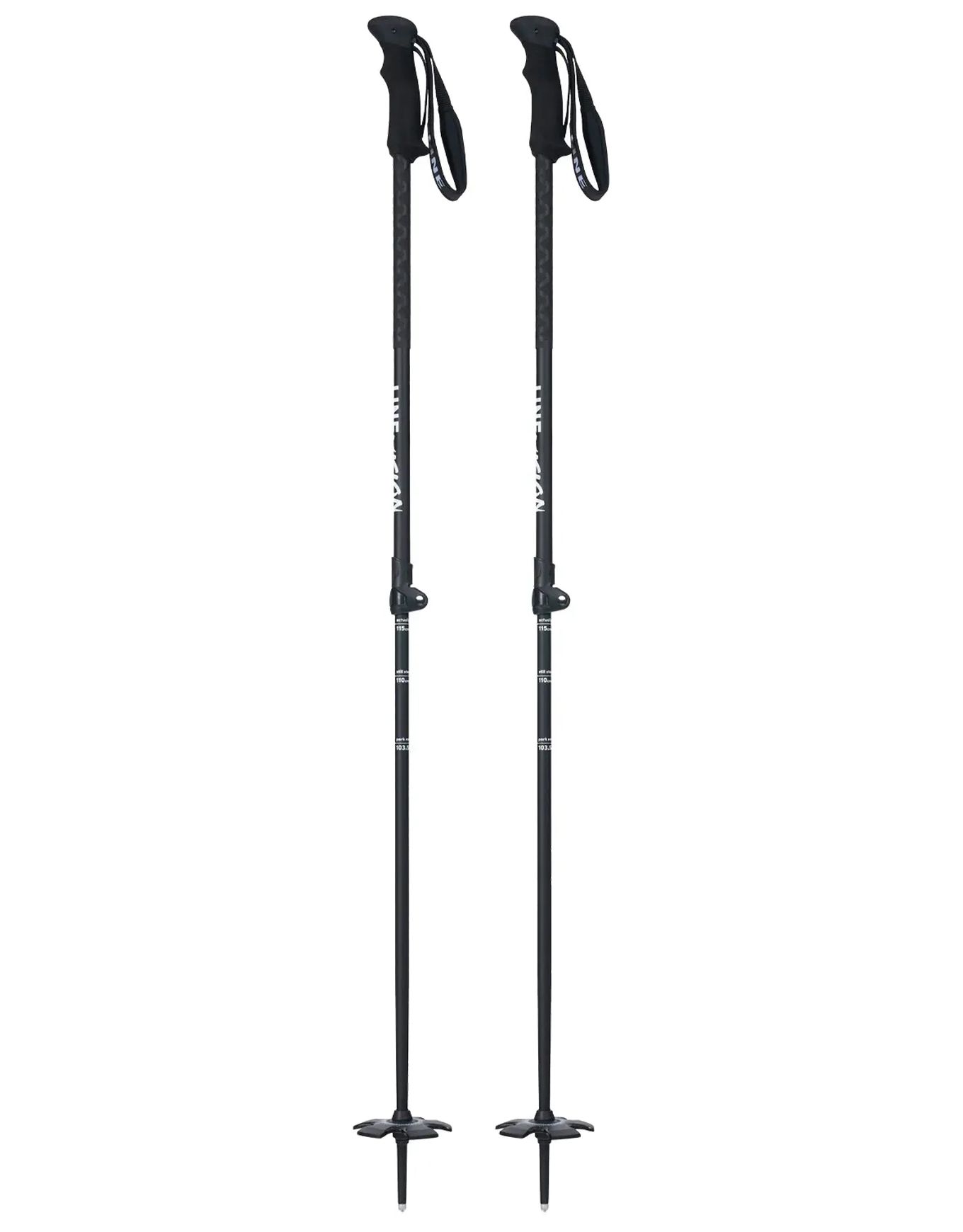Line Vision Black Ski poles : Snowleader