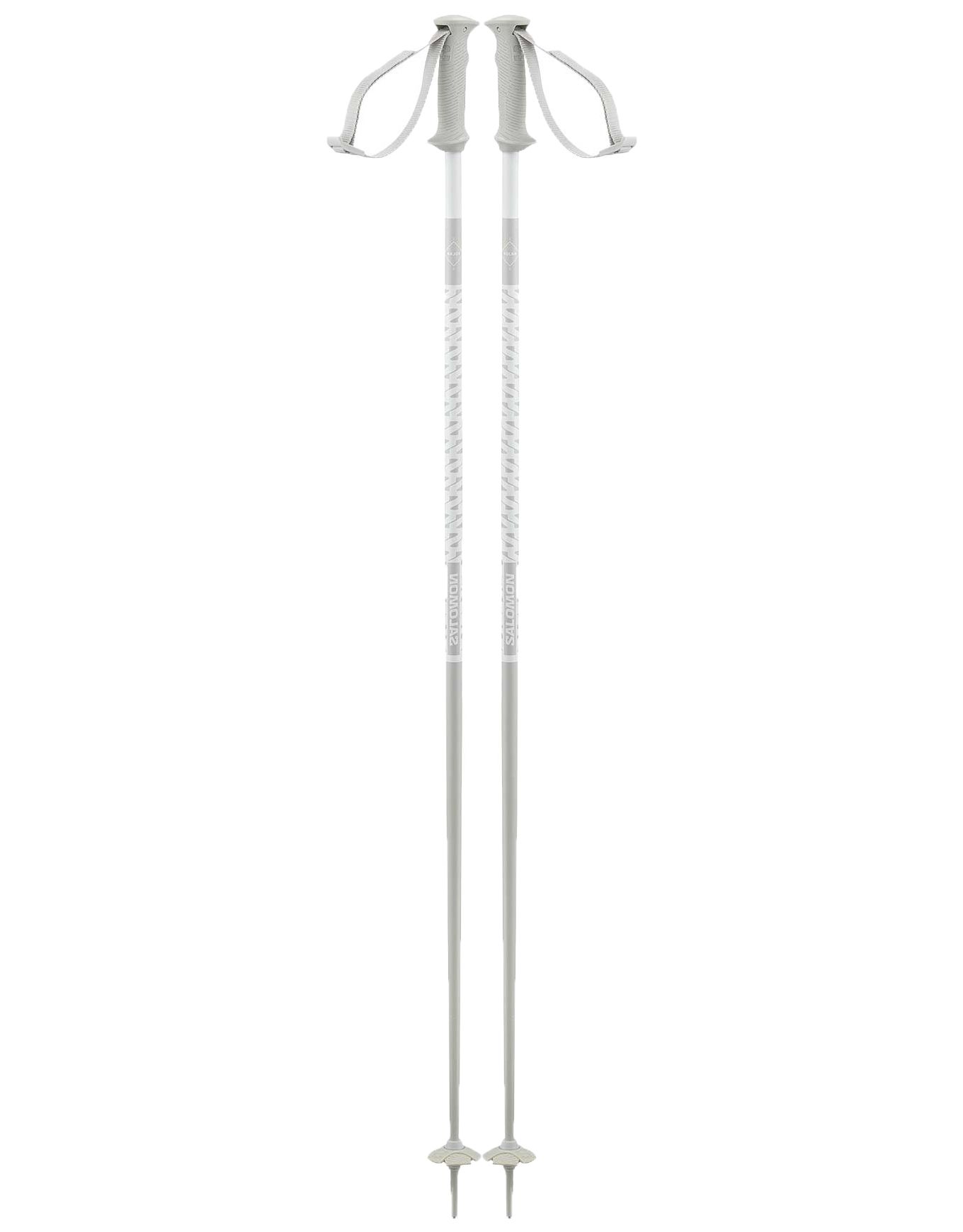 Salomon Polar Access White Ski poles : Snowleader